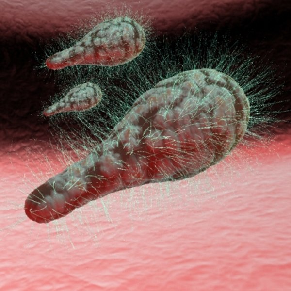 3dsmax hypha bacteria