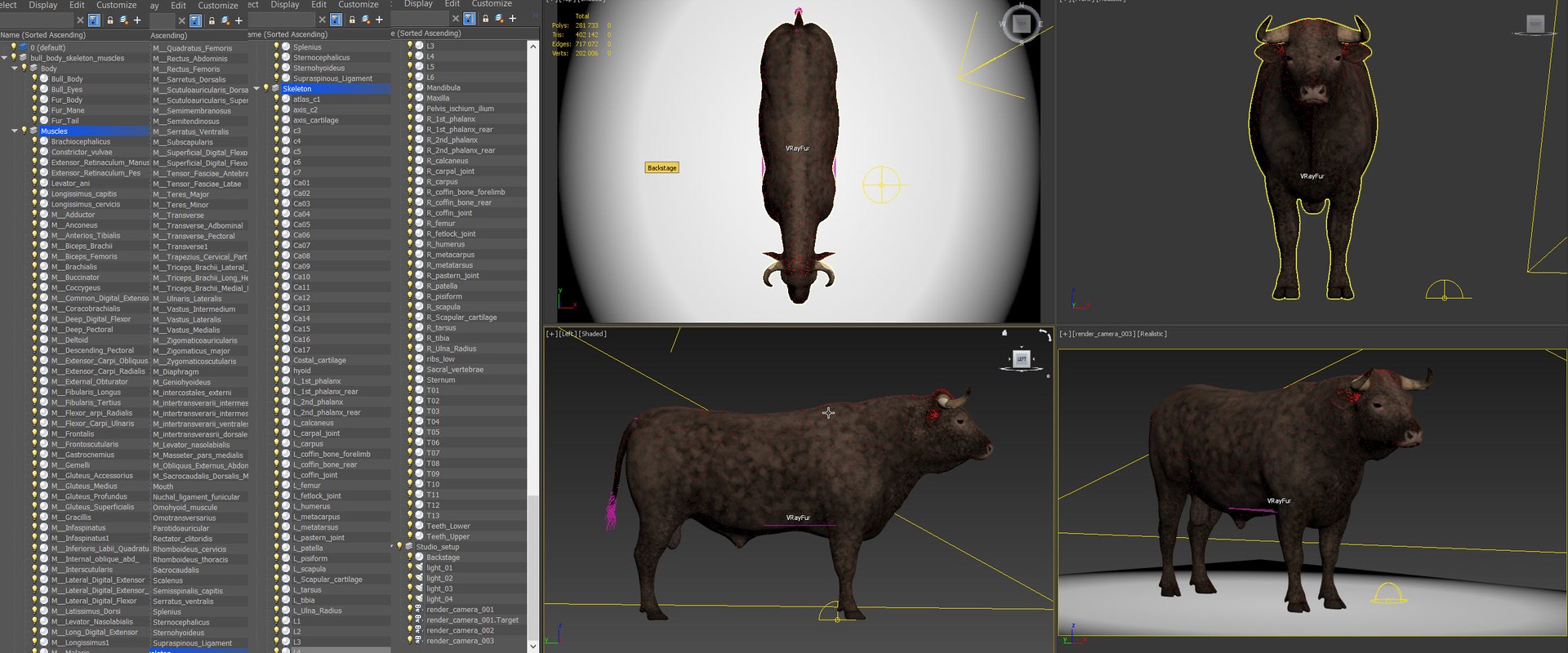 Bull Body, Skeleton and Muscles Static 3D model - TurboSquid 1723845