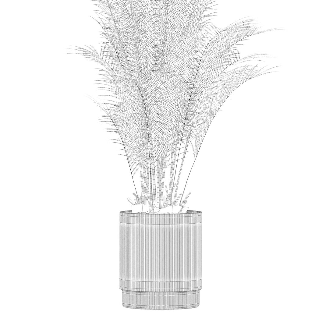 3D Model Plants Collection 213 - Areca Palm Ficus Lyrata Benjamina ...