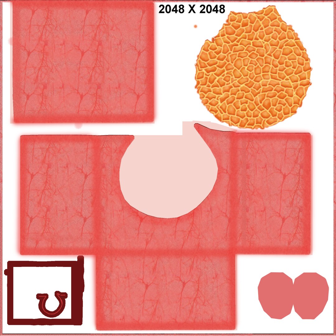 3d Model G Multicellular Epithelium