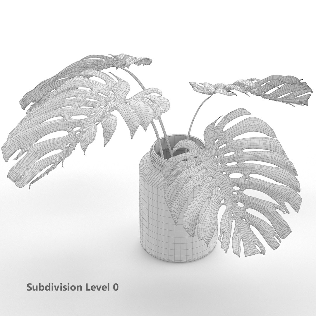 Monstera Leaves 3d Model