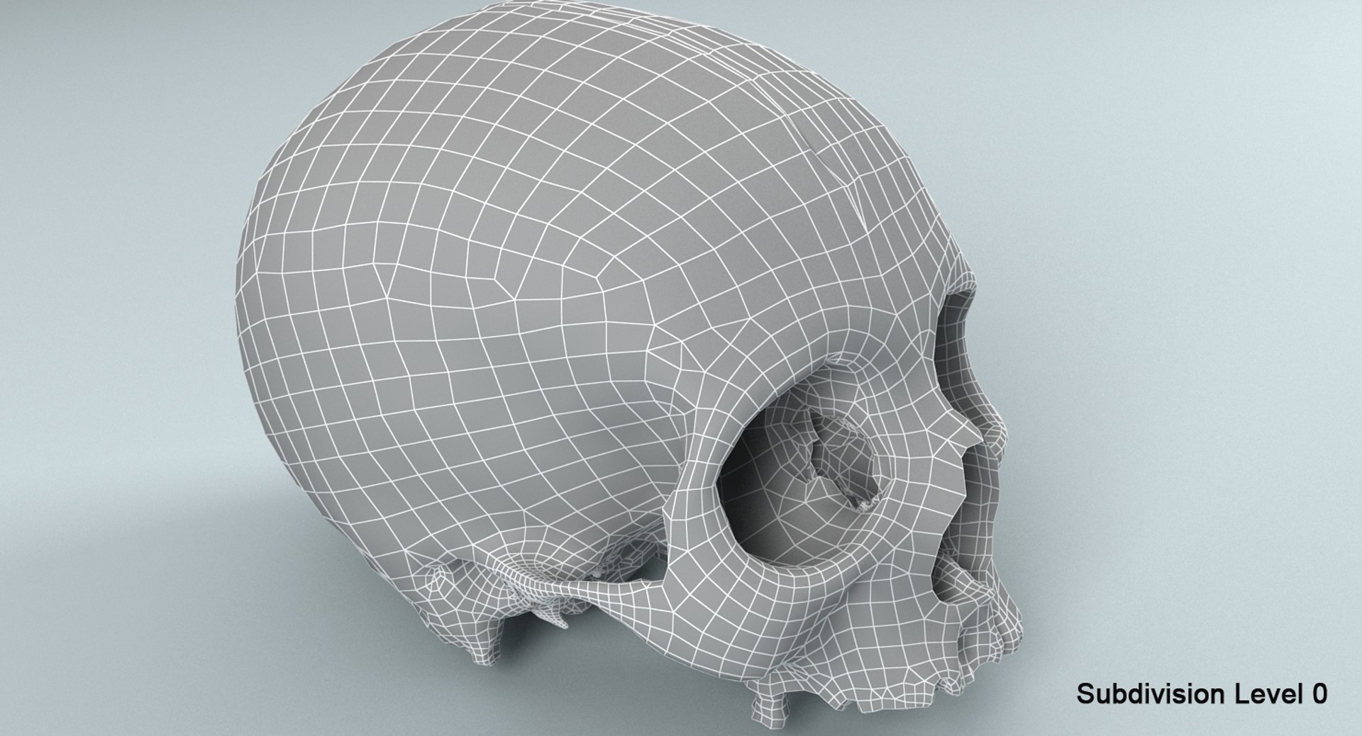 3d human skull scan