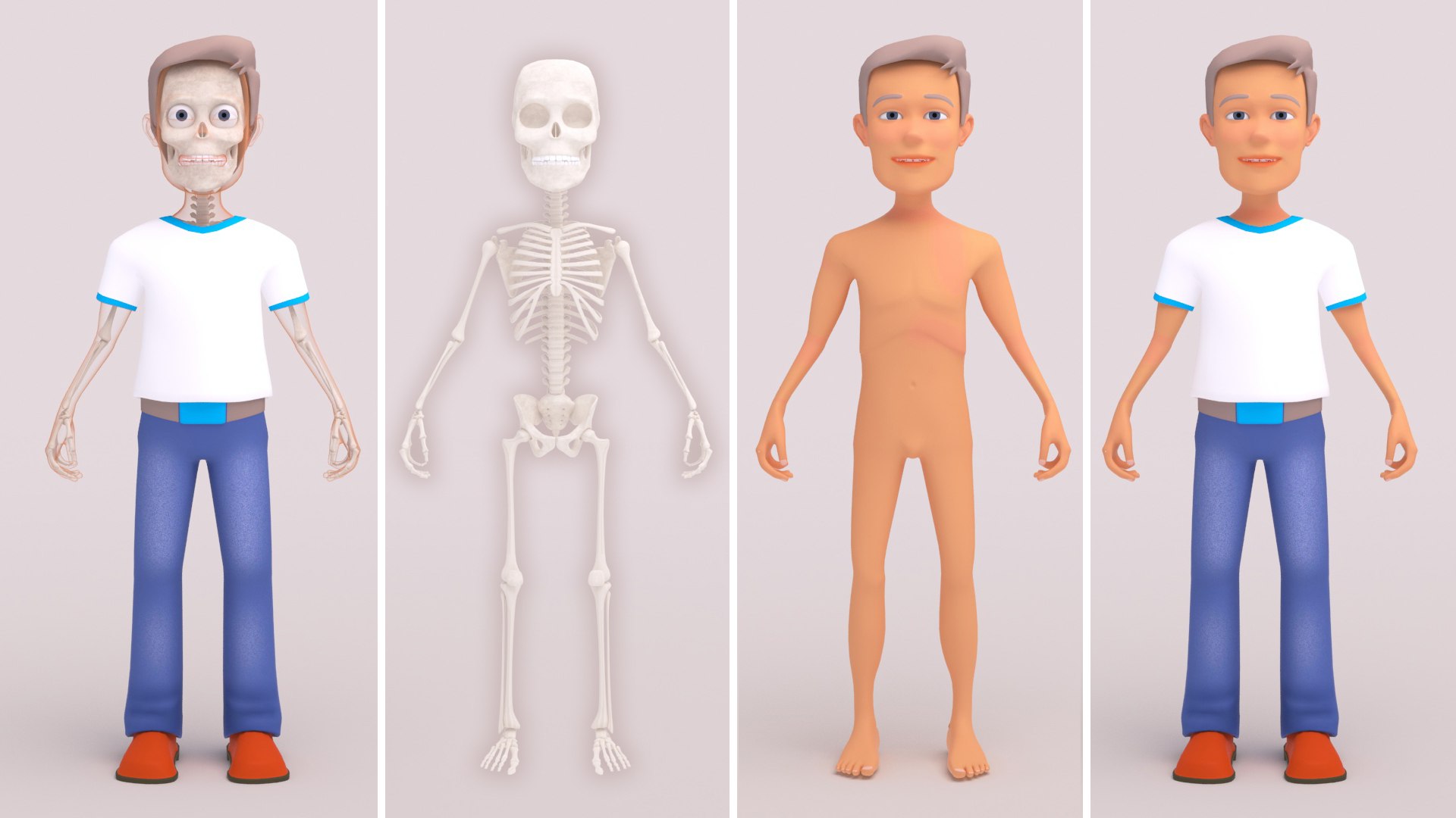 Cartoon Human Skeleton and Male Character model - TurboSquid 1758319