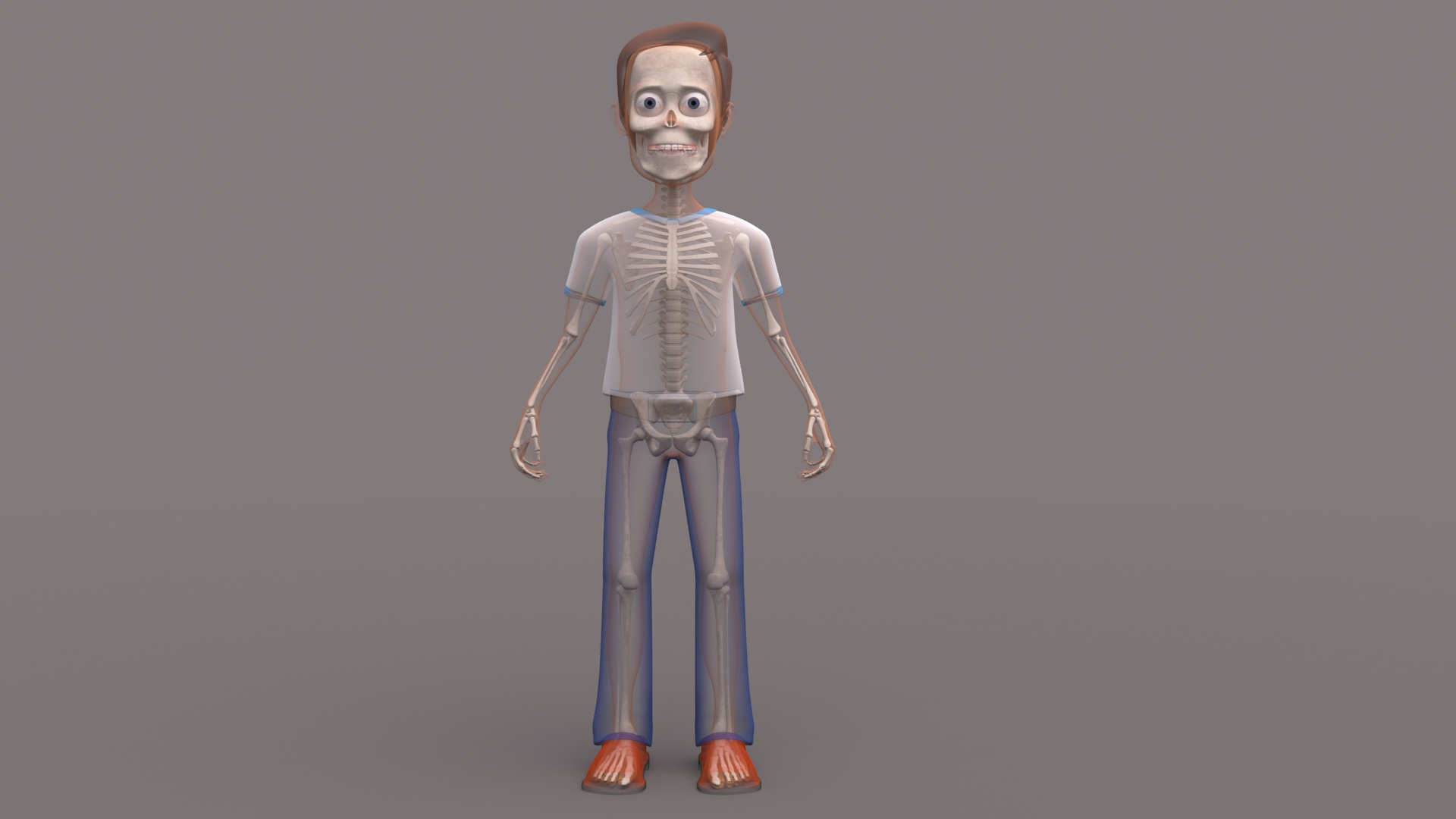 Cartoon Human Skeleton And Male Character Model - TurboSquid 1758319