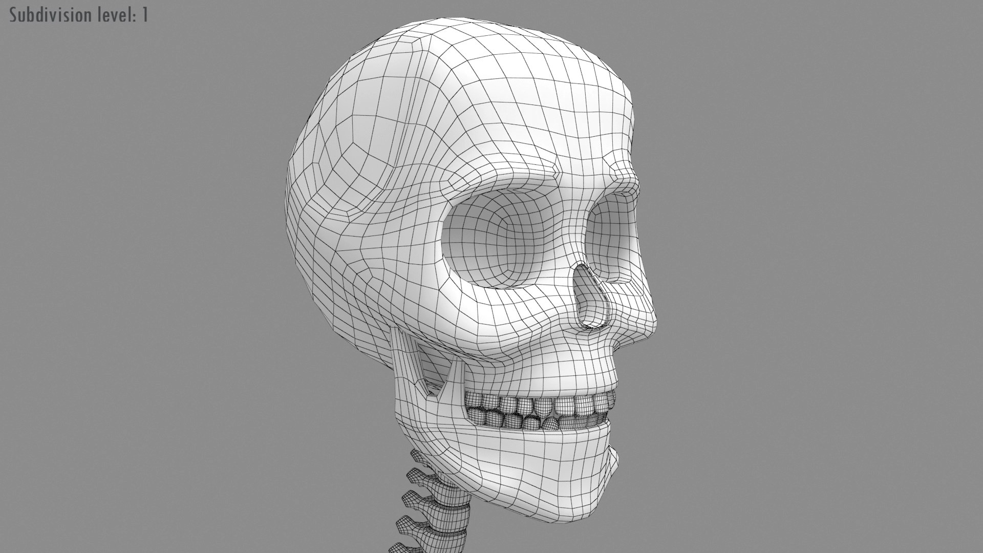 Cartoon Human Skeleton And Male Character Model - TurboSquid 1758319