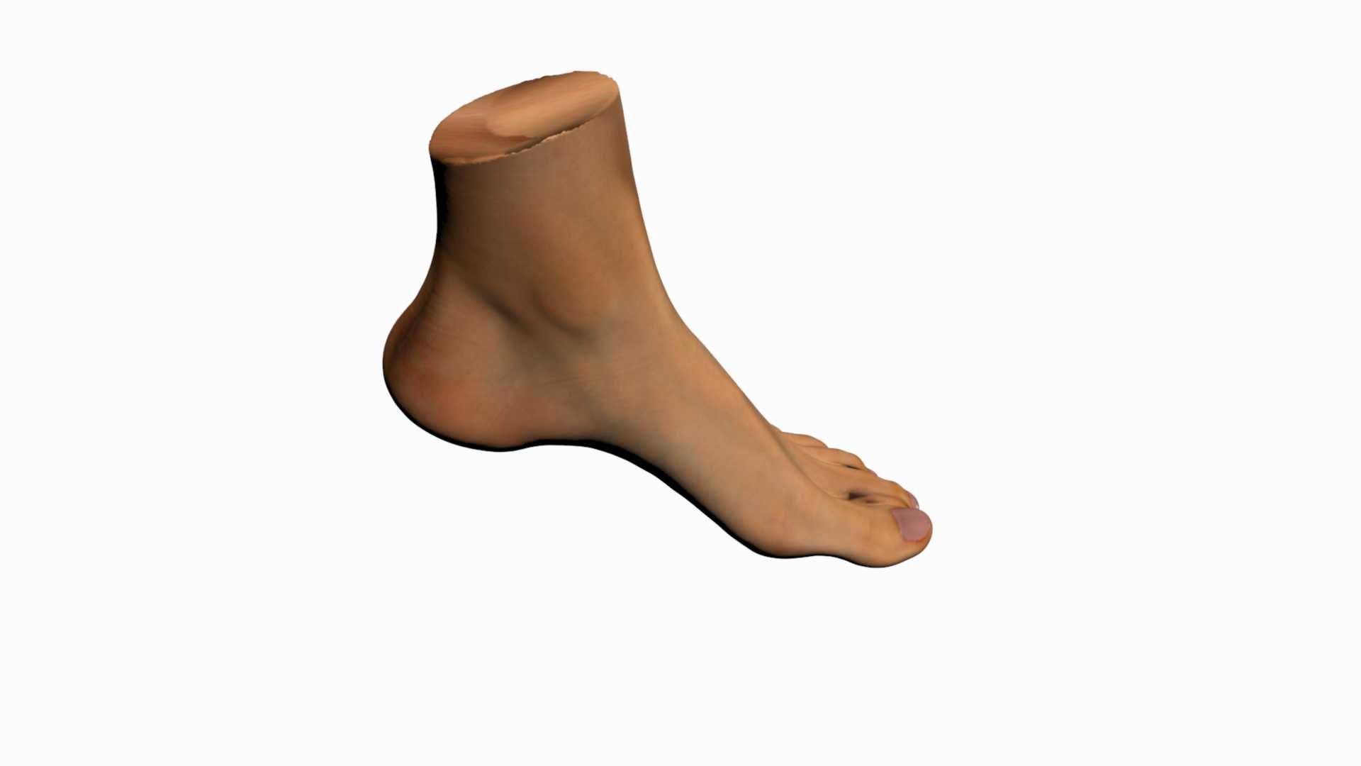 3D Human Leg Scan - TurboSquid 1743413