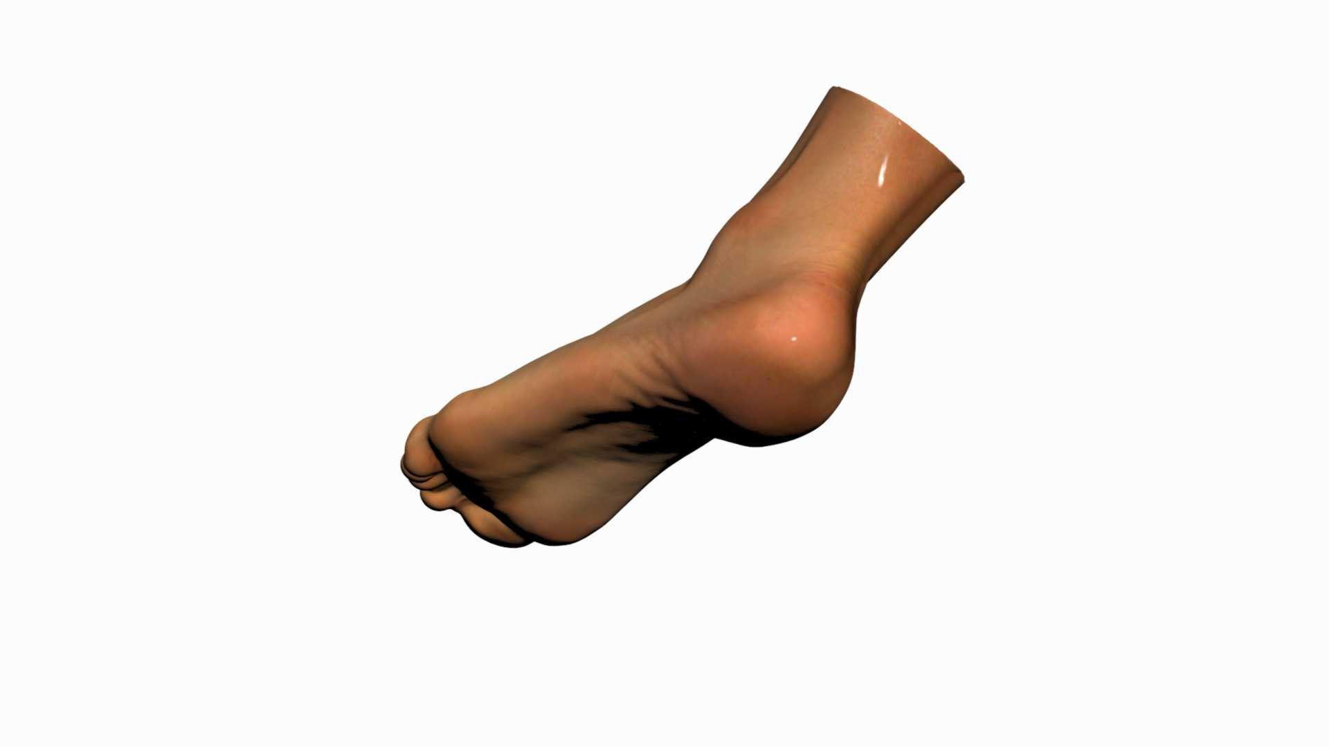 3D Human Leg Scan - TurboSquid 1743413