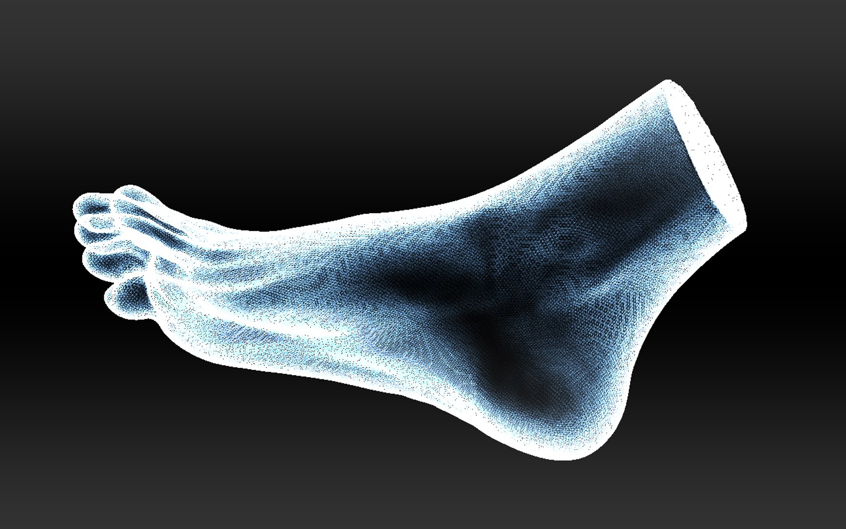 3D Human Leg Scan - TurboSquid 1743413