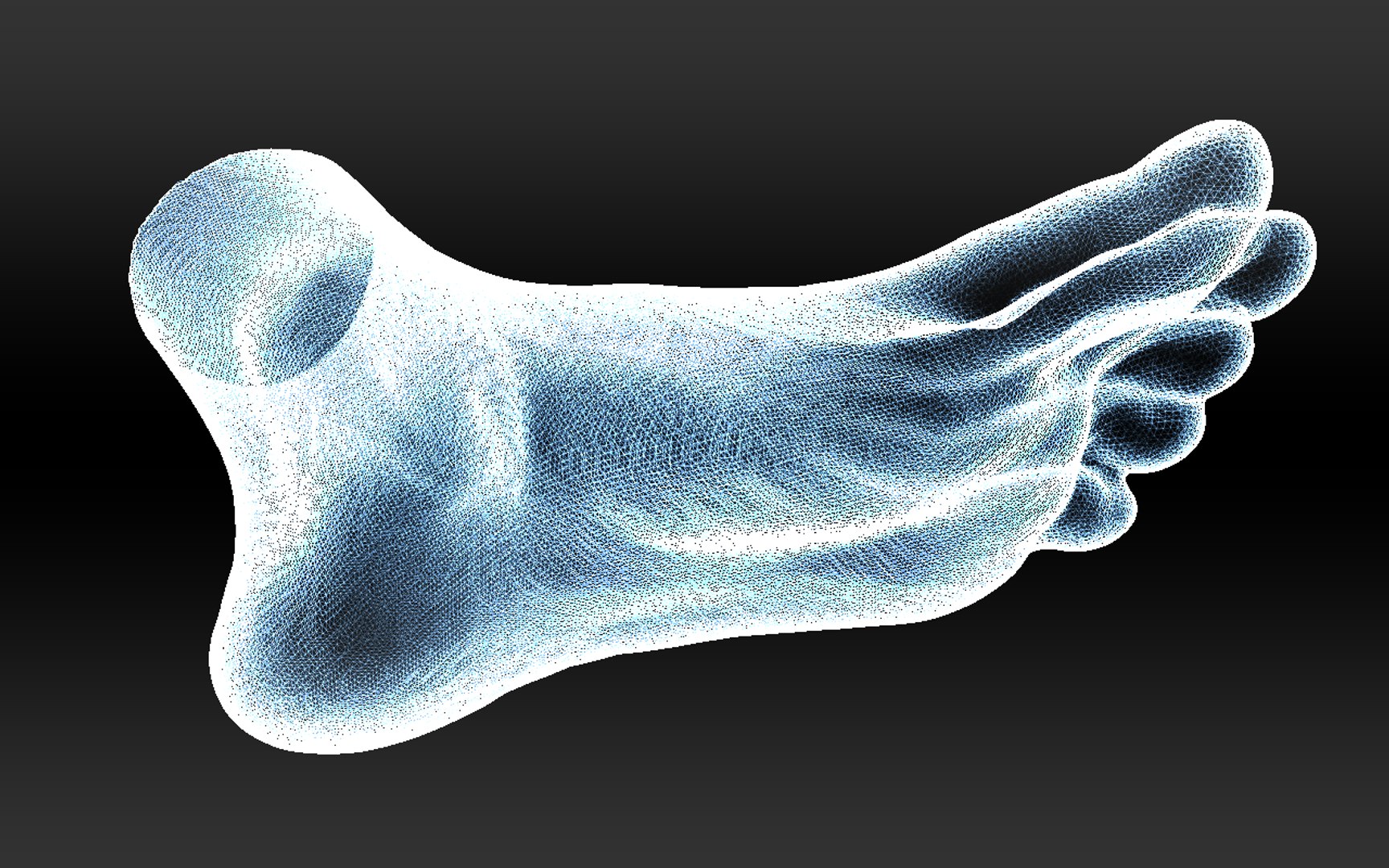 3D Human Leg Scan - TurboSquid 1743413