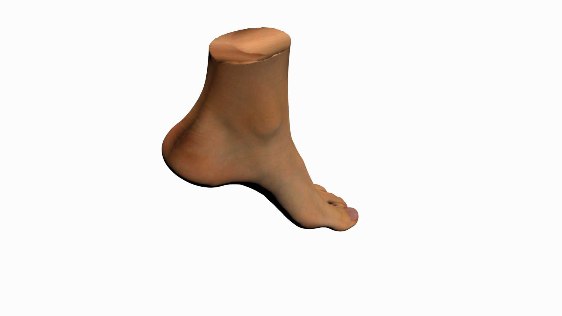 3D Human Leg Scan - TurboSquid 1743413
