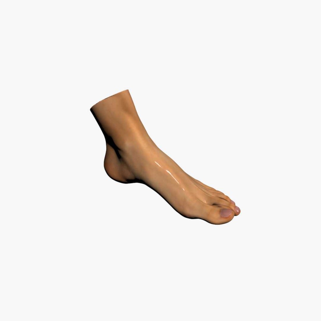 3D Human Leg Scan - TurboSquid 1743413