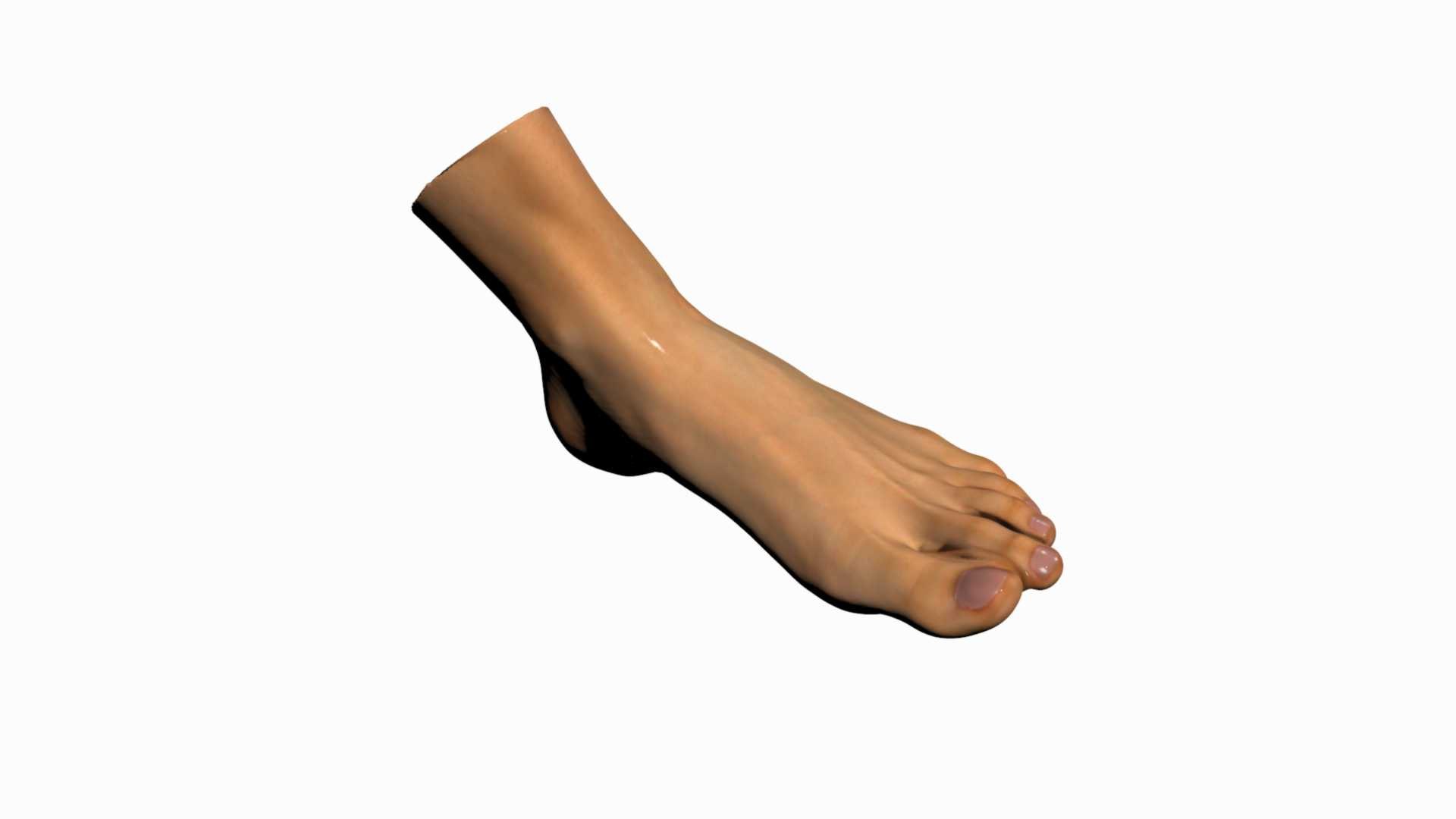 3D Human Leg Scan - TurboSquid 1743413