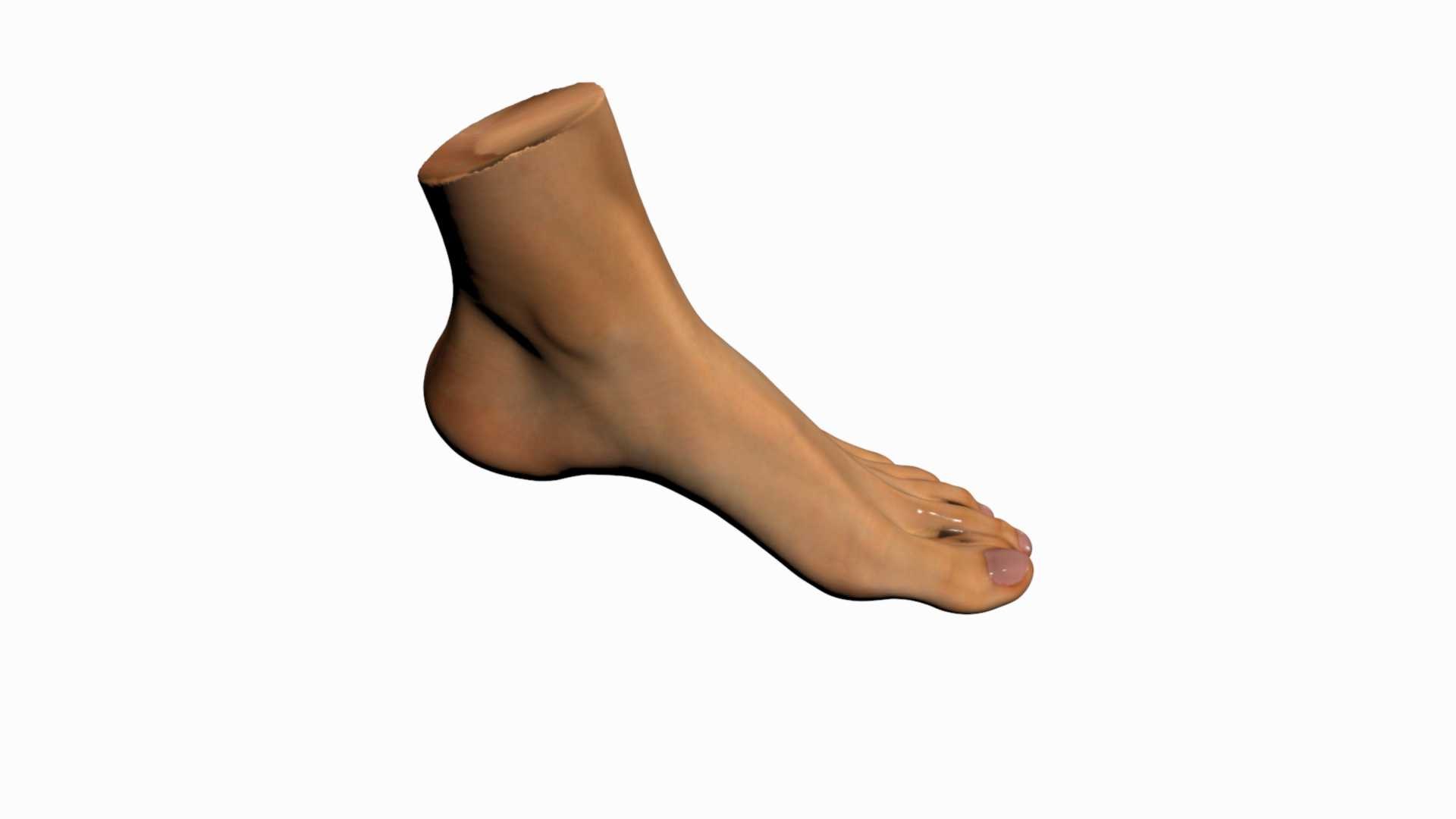 3D Human Leg Scan - TurboSquid 1743413