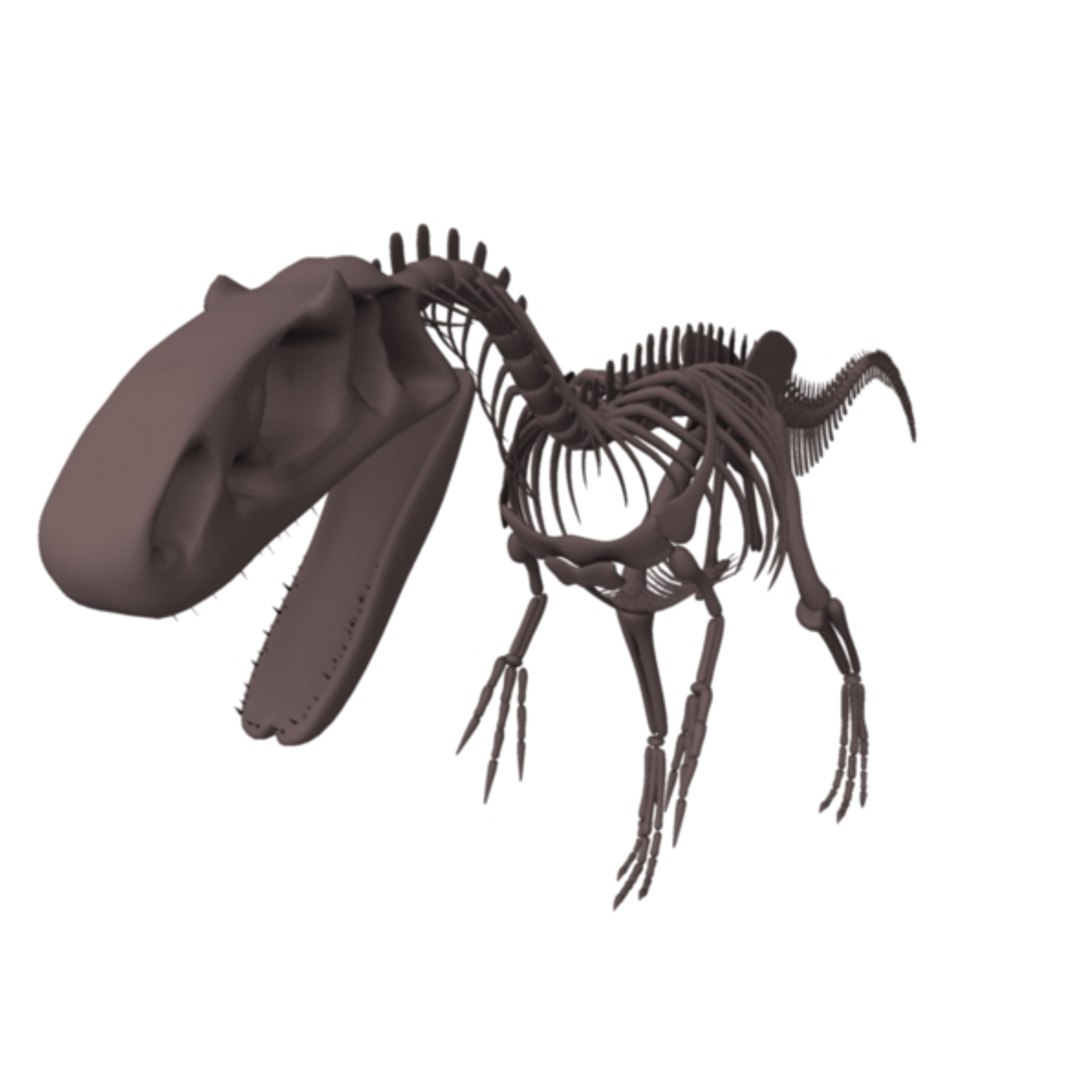 Obj Allosaurus Skeleton Dinosaur