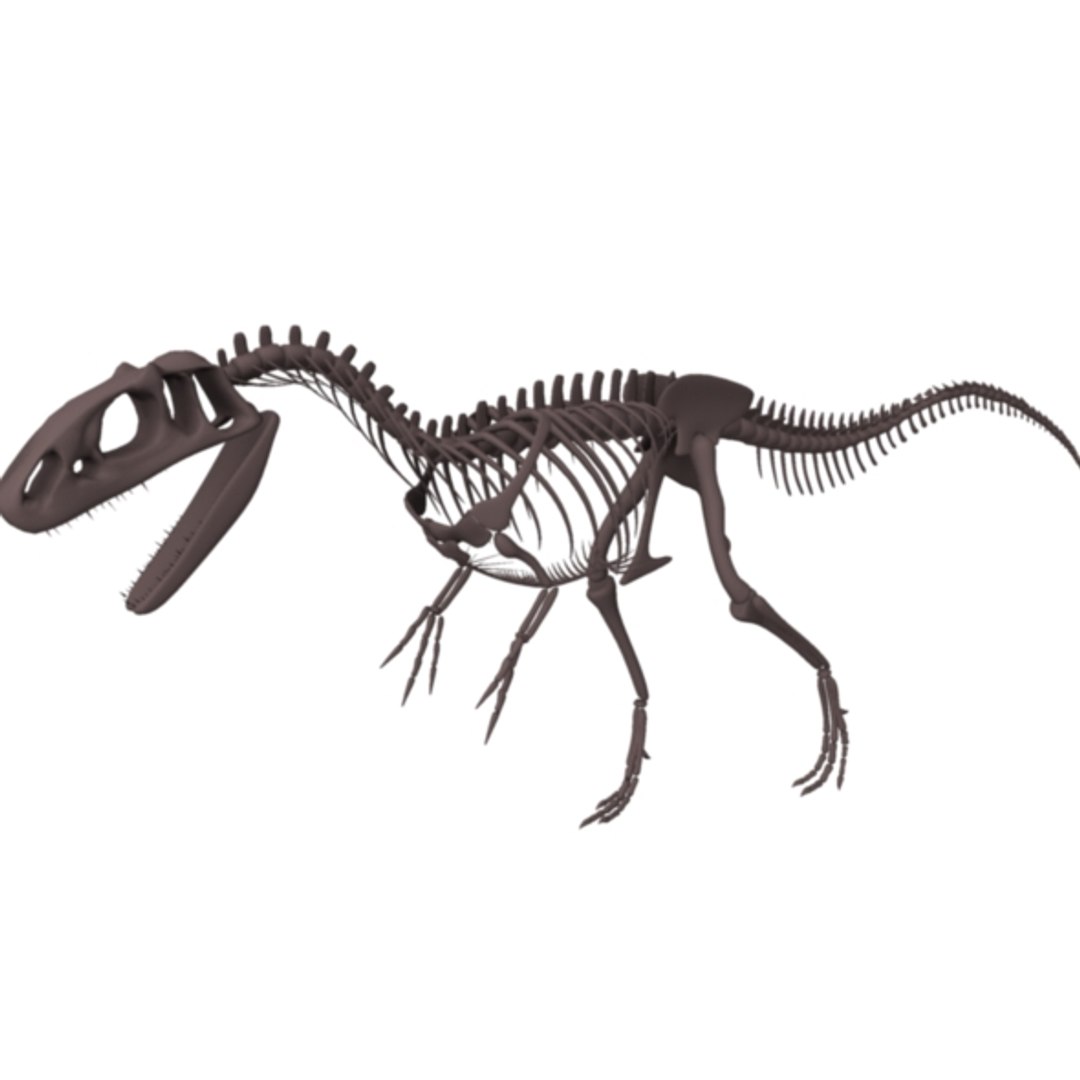Obj Allosaurus Skeleton Dinosaur