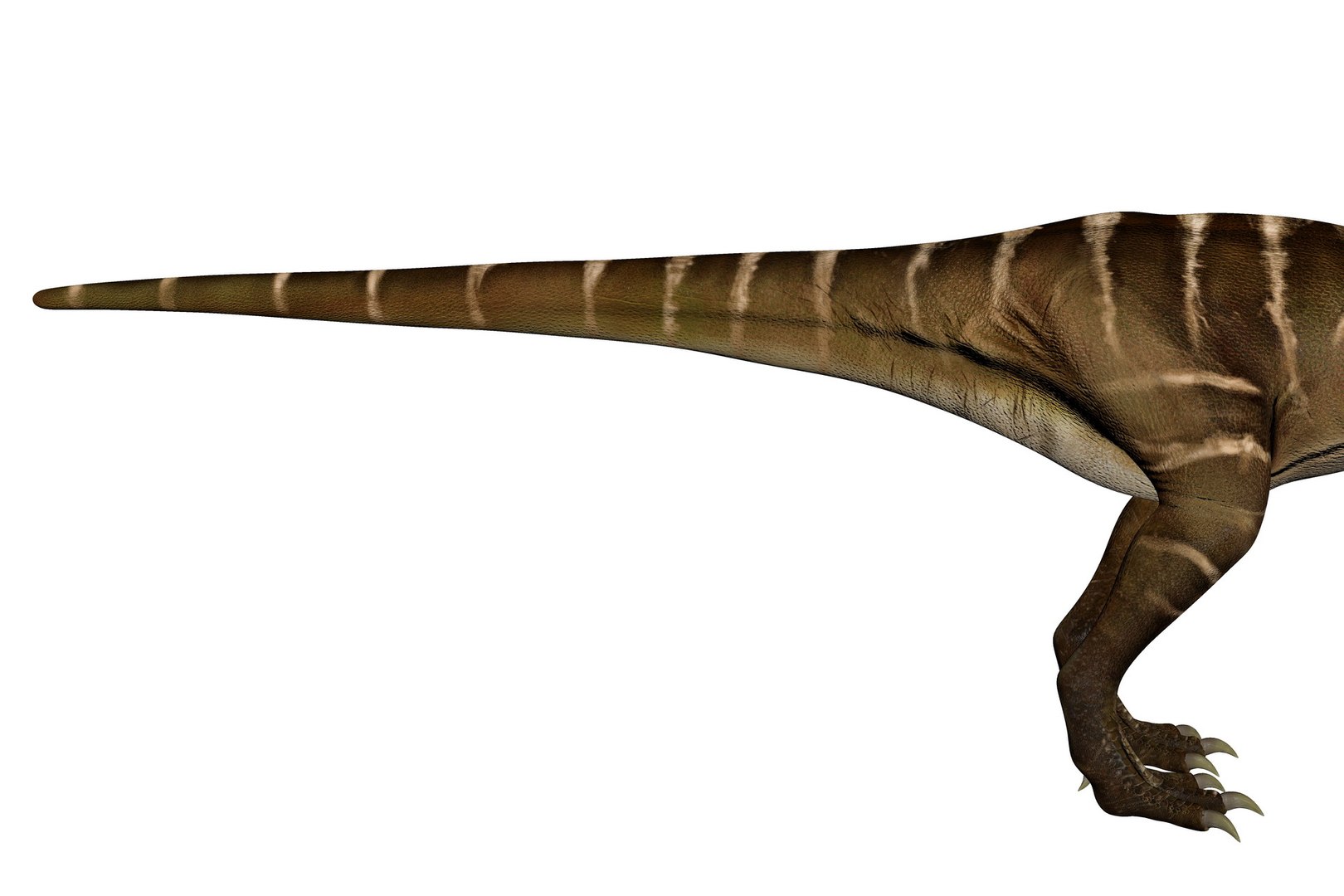 3D Phaedrolosaurus Dinosaur Triassic Animal - TurboSquid 2336517