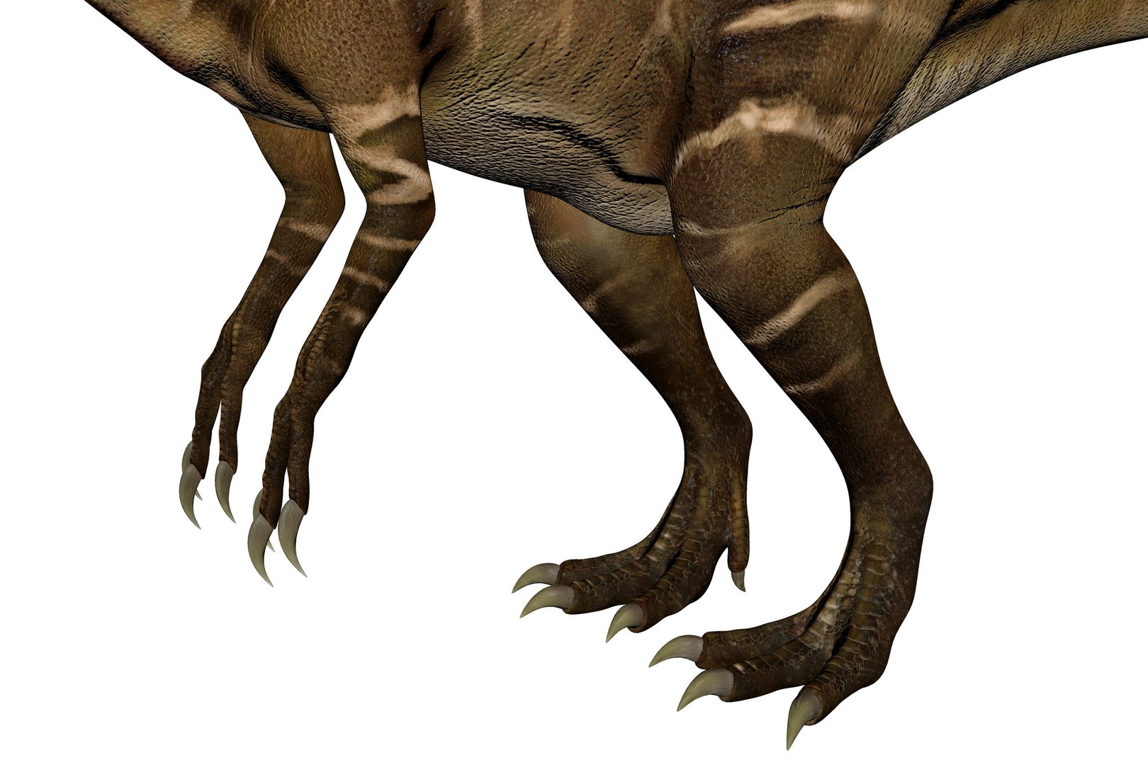 3D Phaedrolosaurus Dinosaur Triassic Animal - TurboSquid 2336517