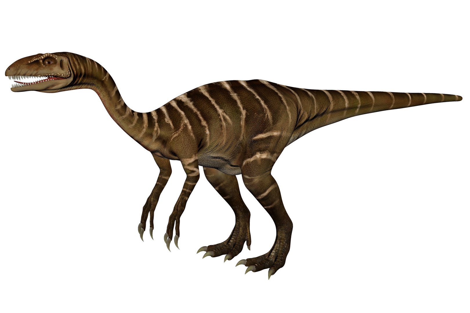 3D Phaedrolosaurus Dinosaur Triassic Animal - TurboSquid 2336517