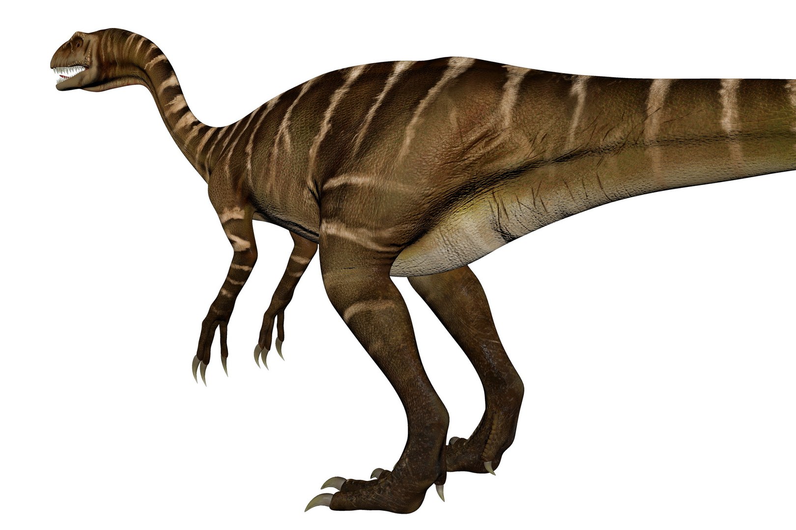 3D Phaedrolosaurus Dinosaur Triassic Animal - TurboSquid 2336517