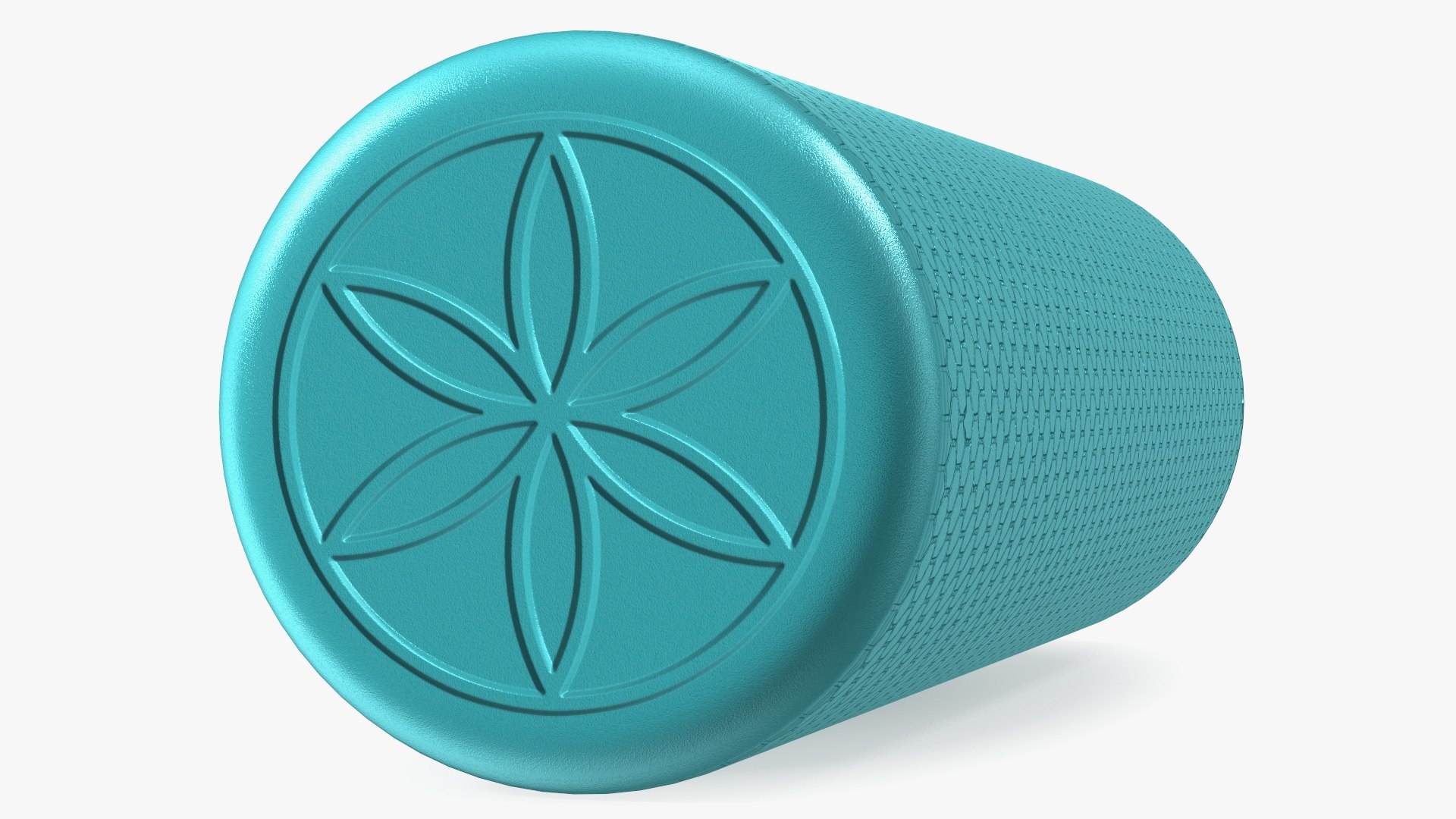 Compact Foam Roller 3D Model - TurboSquid 2031282