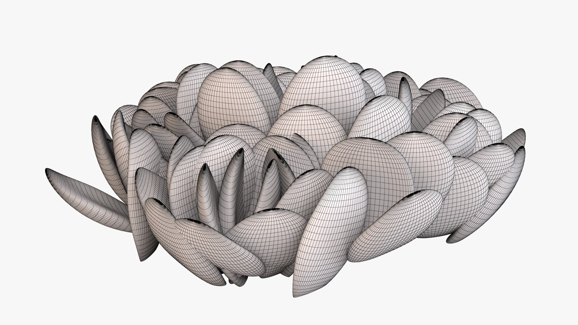 3D Succulent Pig S Ear Model - TurboSquid 1626788