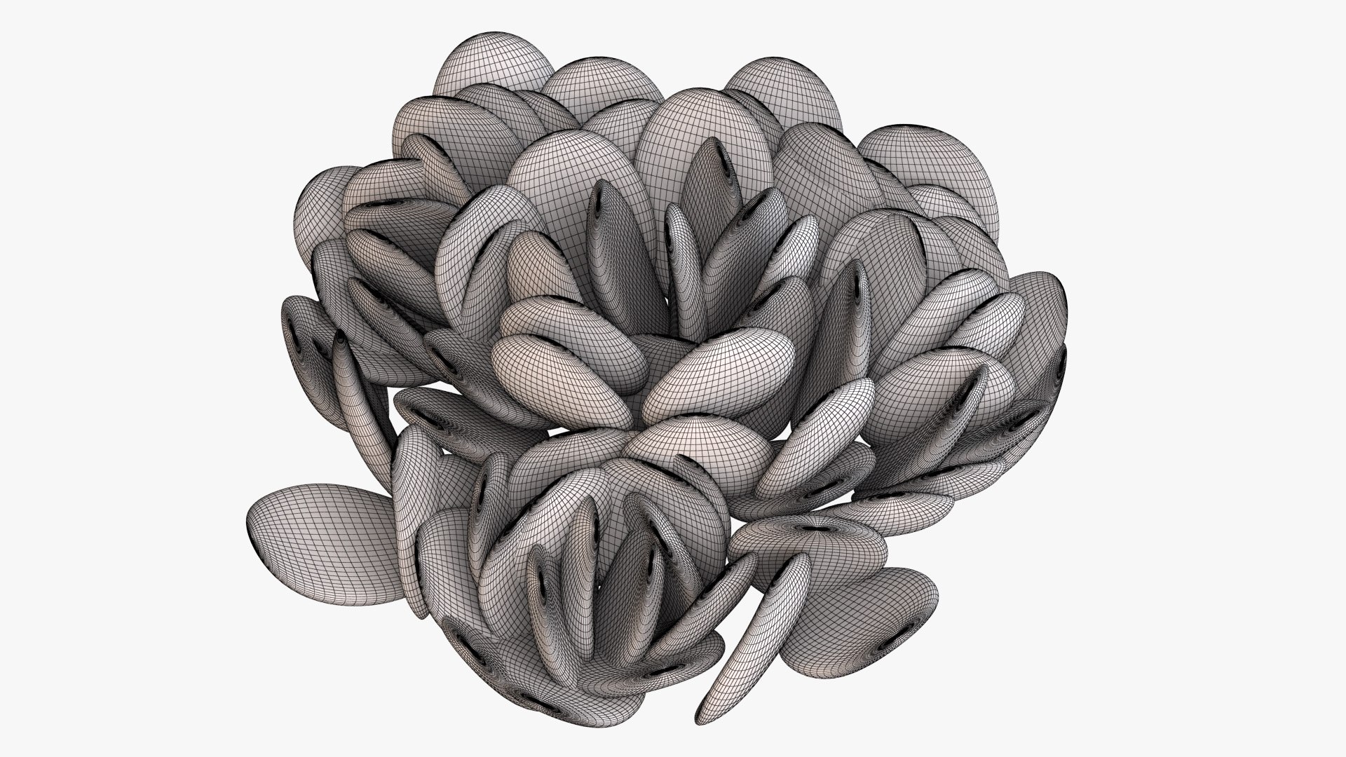 3D Succulent Pig S Ear Model - TurboSquid 1626788