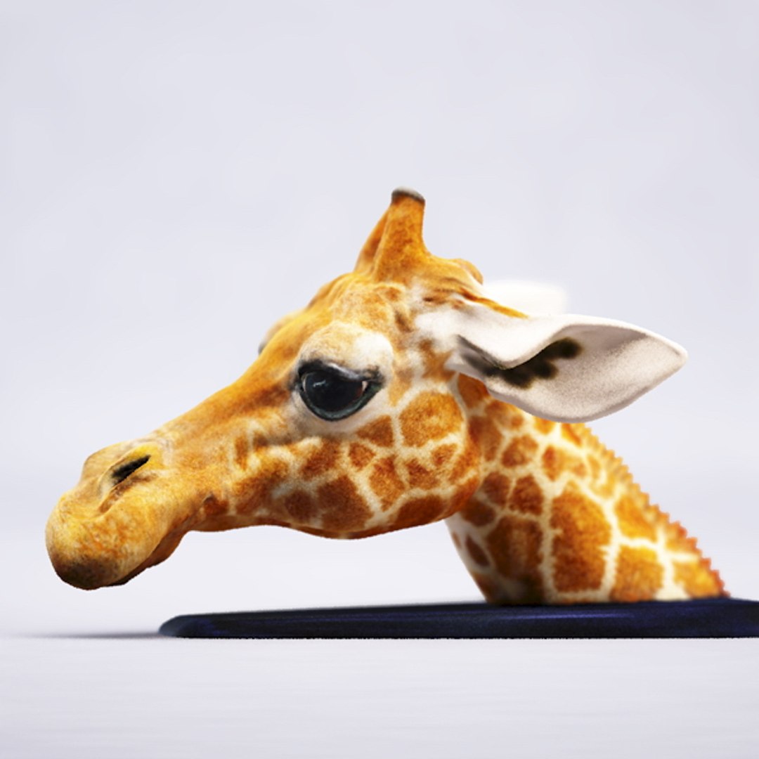 3d Color Printable Giraffe Print