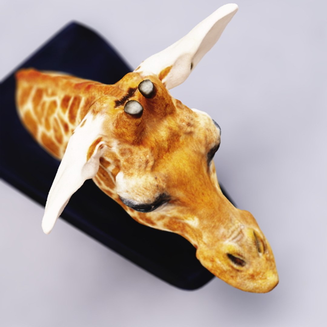 3d Color Printable Giraffe Print