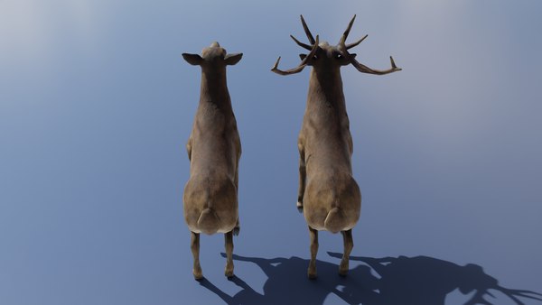 modelo 3d PUBG Mobile Deer Stag and Doe Animated and Rigged ...