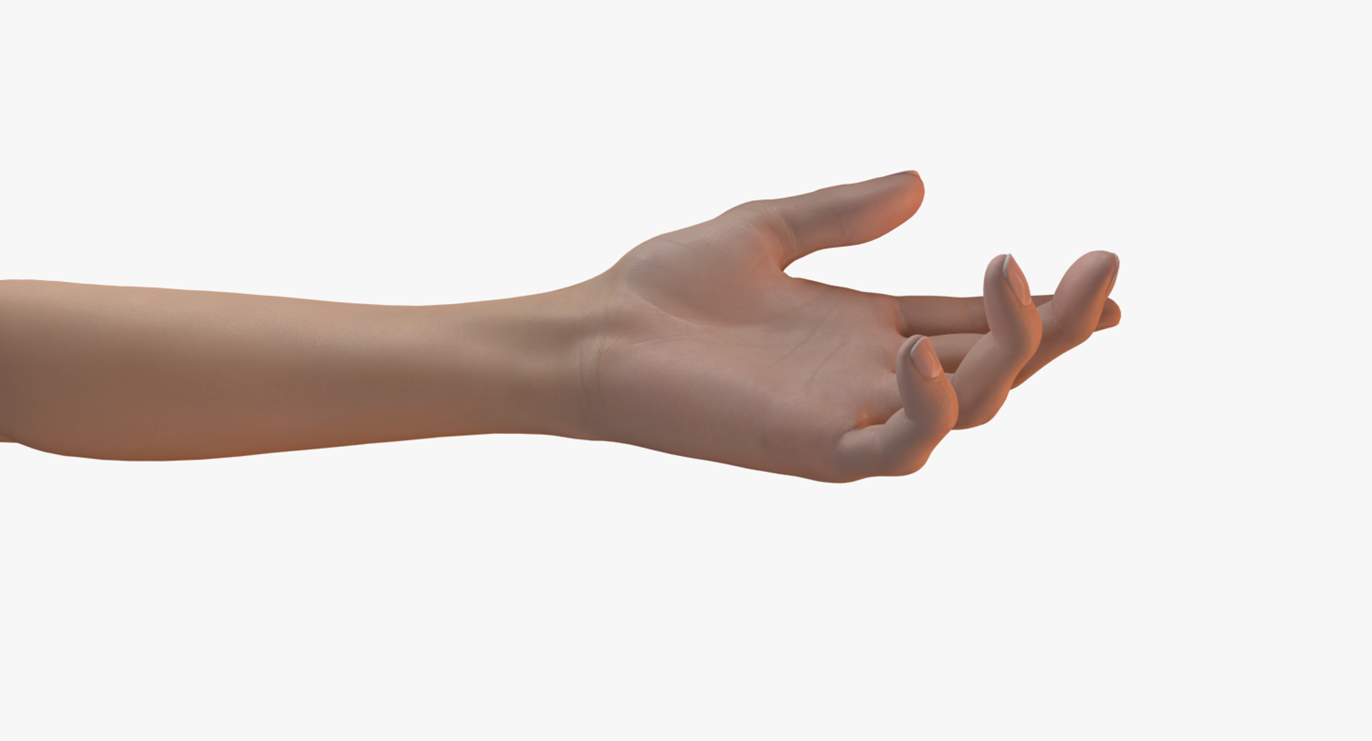 Anatomic Female Hand Rig Model - TurboSquid 1260157