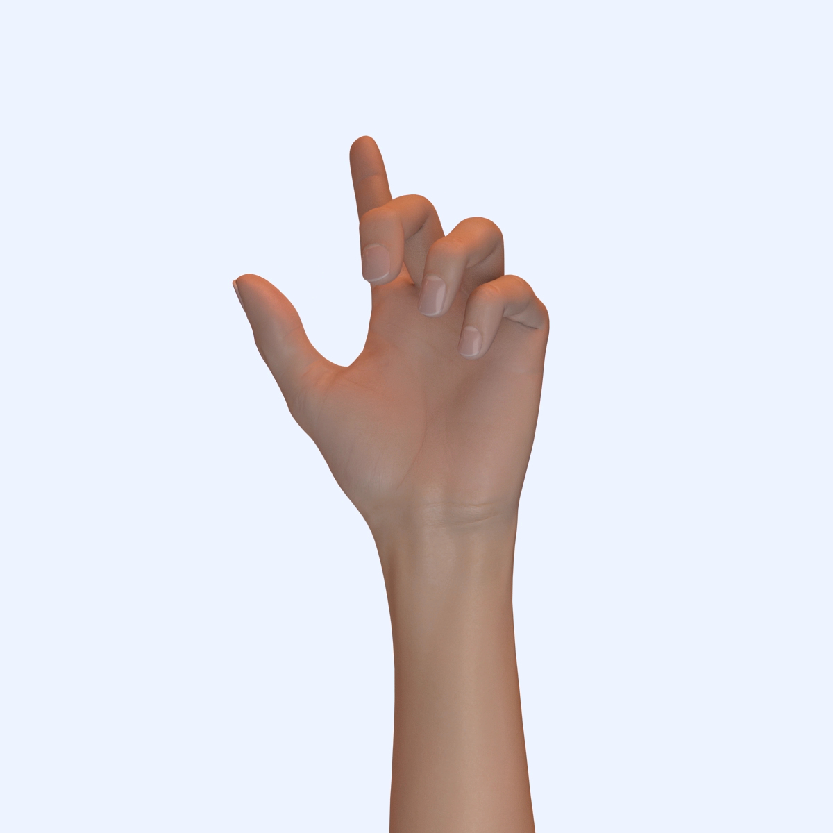 Anatomic female hand rig model - TurboSquid 1260157