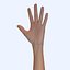 Anatomic Female Hand Rig Model - TurboSquid 1260157