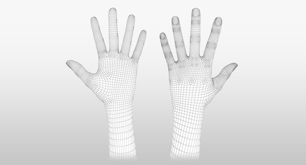Anatomic female hand rig model - TurboSquid 1260157
