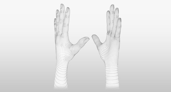 Anatomic female hand rig model - TurboSquid 1260157