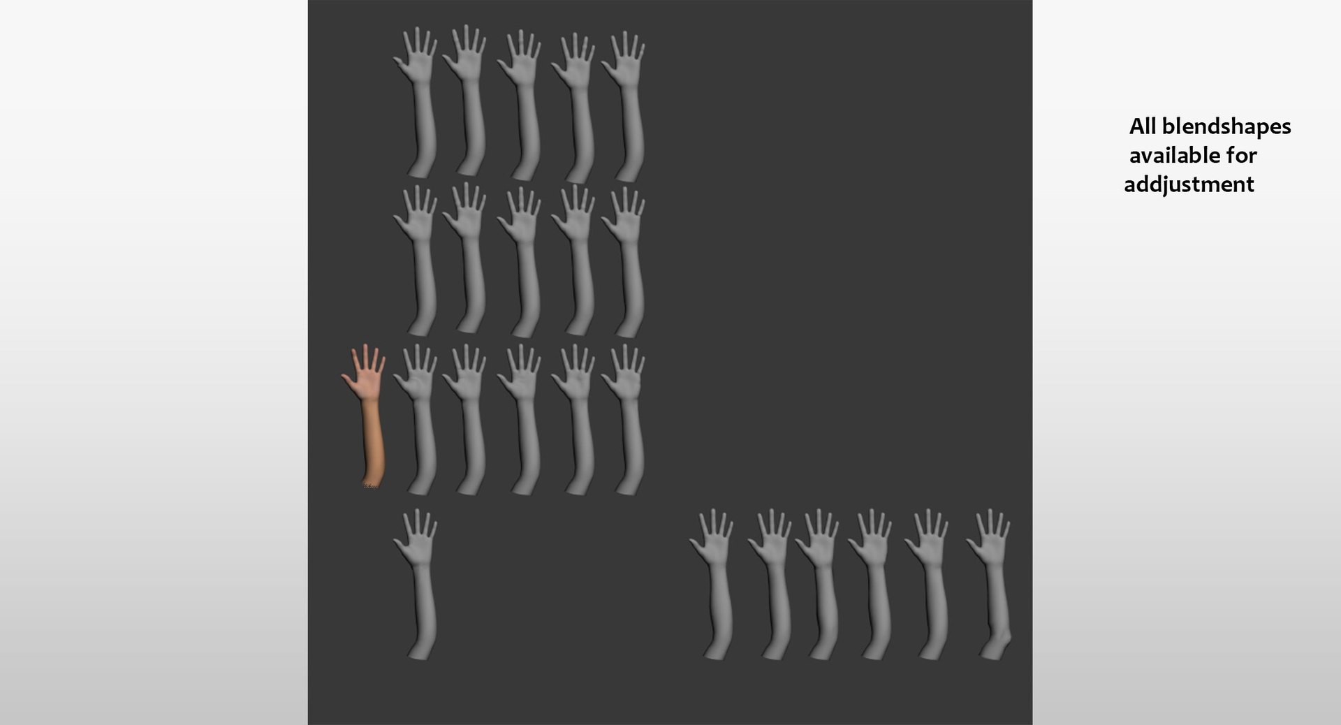 Anatomic Female Hand Rig Model - TurboSquid 1260157