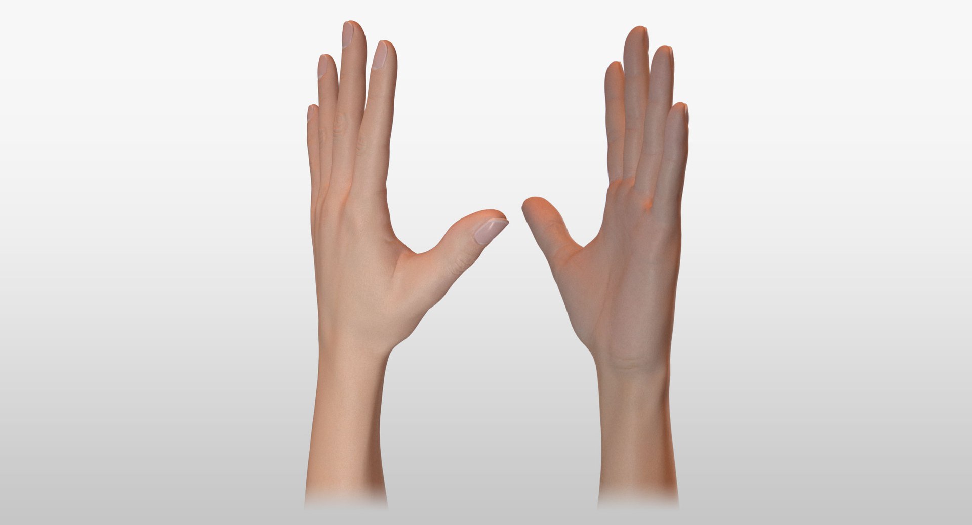 Anatomic Female Hand Rig Model - TurboSquid 1260157