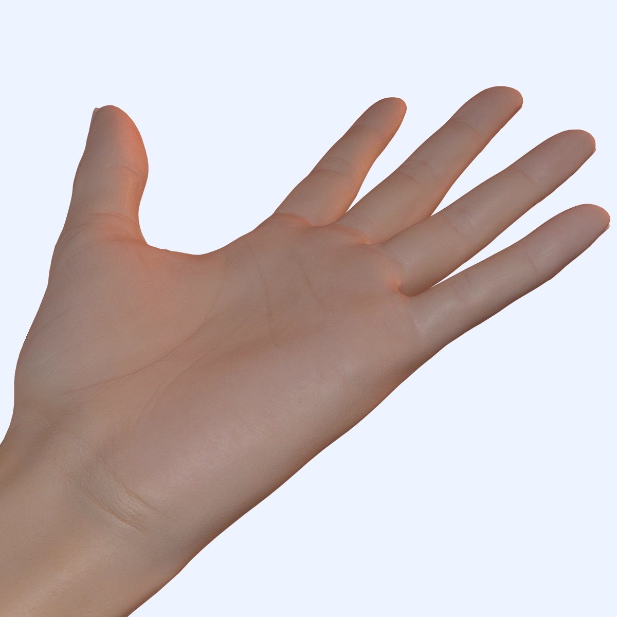 Anatomic female hand rig model - TurboSquid 1260157