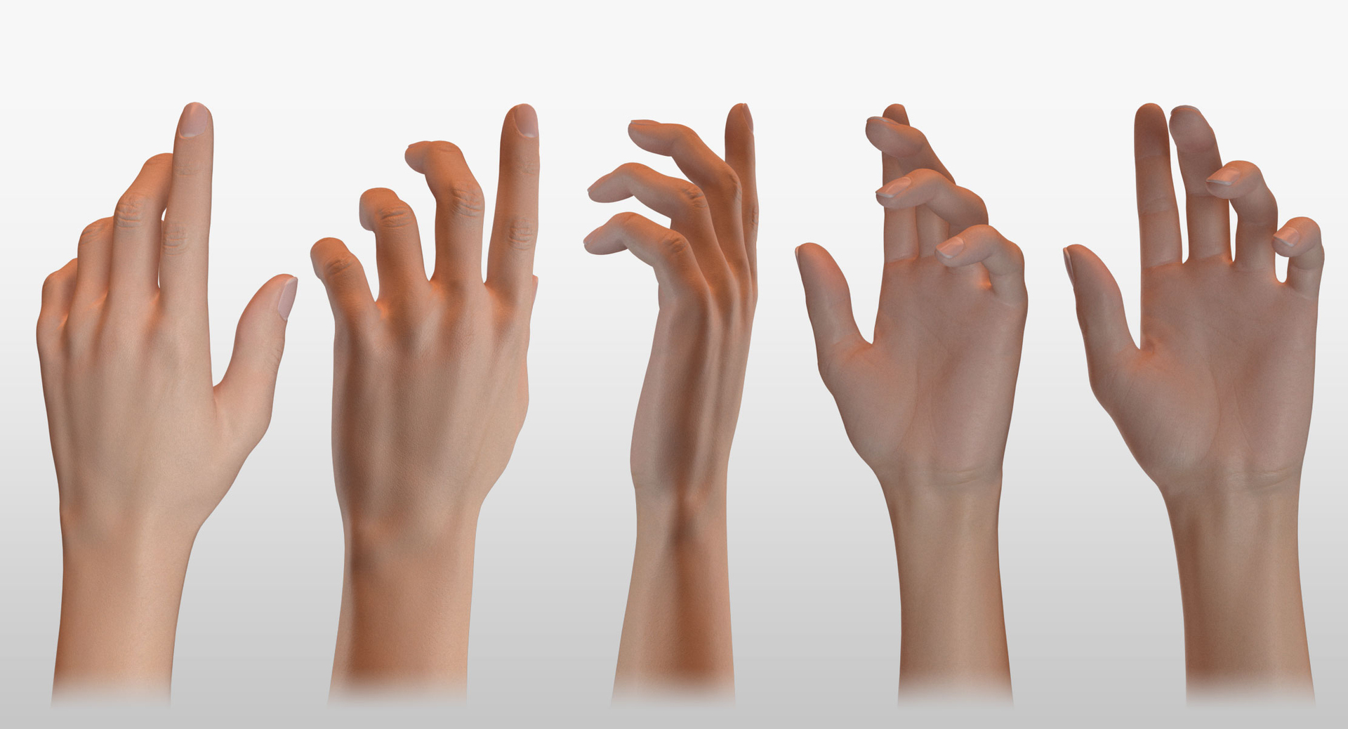 Anatomic female hand rig model - TurboSquid 1260157
