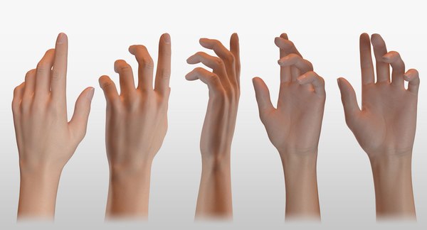 Anatomic female hand rig model - TurboSquid 1260157