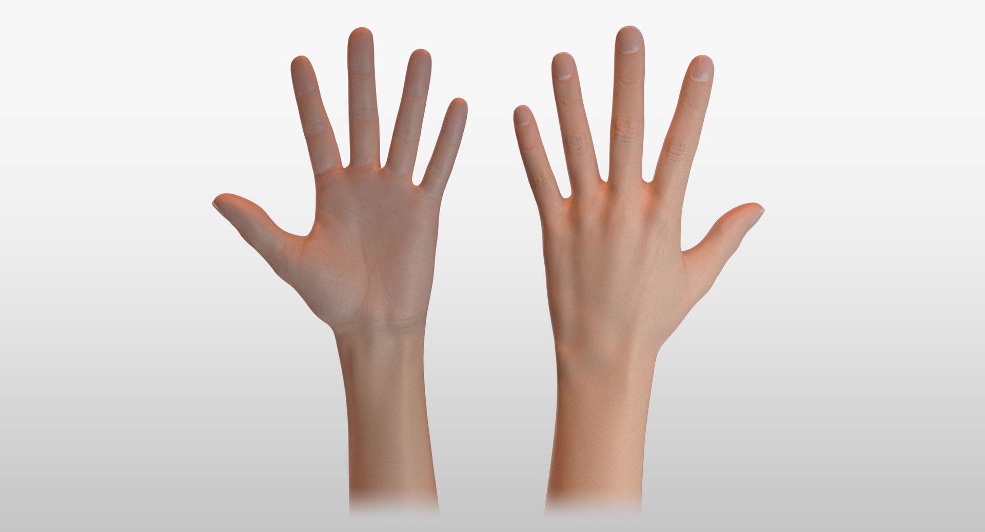 Anatomic Female Hand Rig Model - TurboSquid 1260157