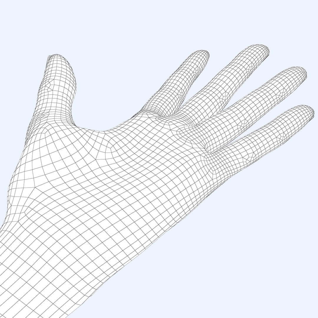 Anatomic Female Hand Rig Model - TurboSquid 1260157