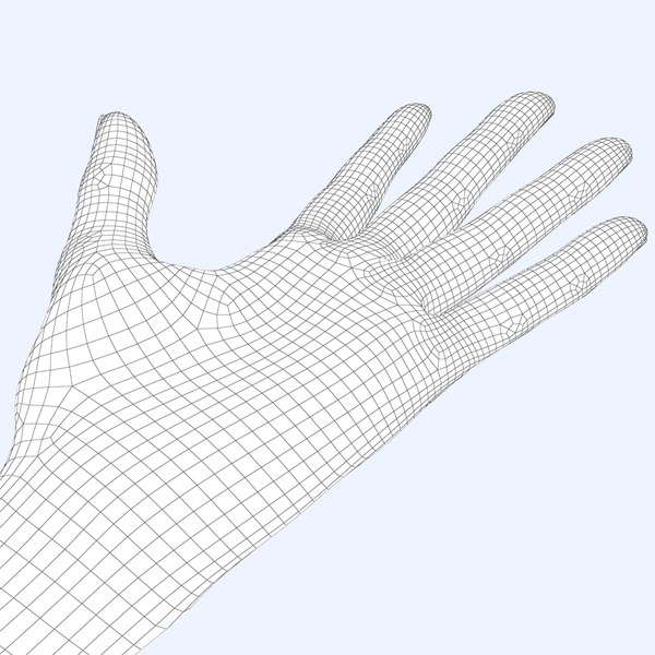 Anatomic female hand rig model - TurboSquid 1260157