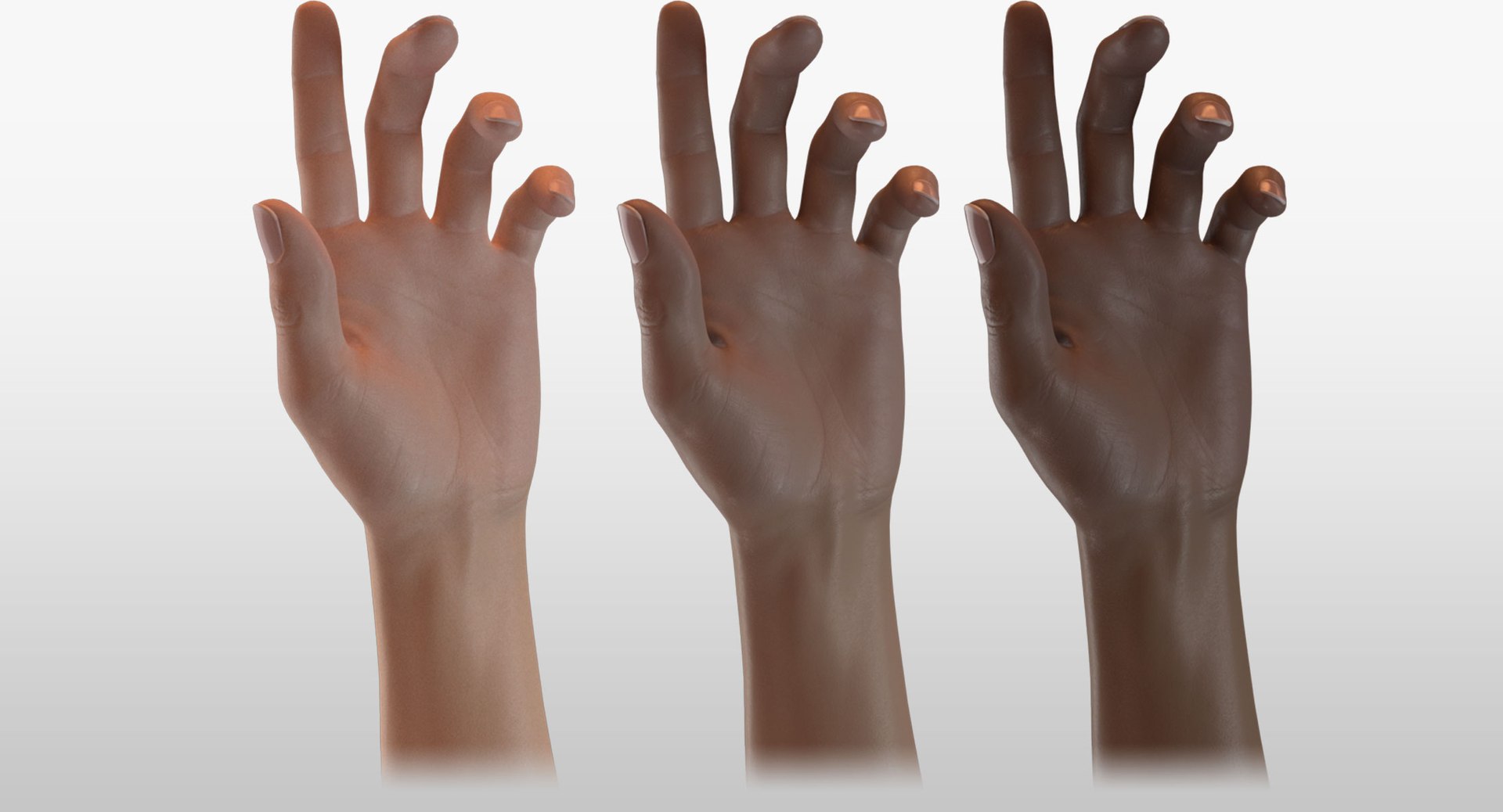 Anatomic Female Hand Rig Model - TurboSquid 1260157