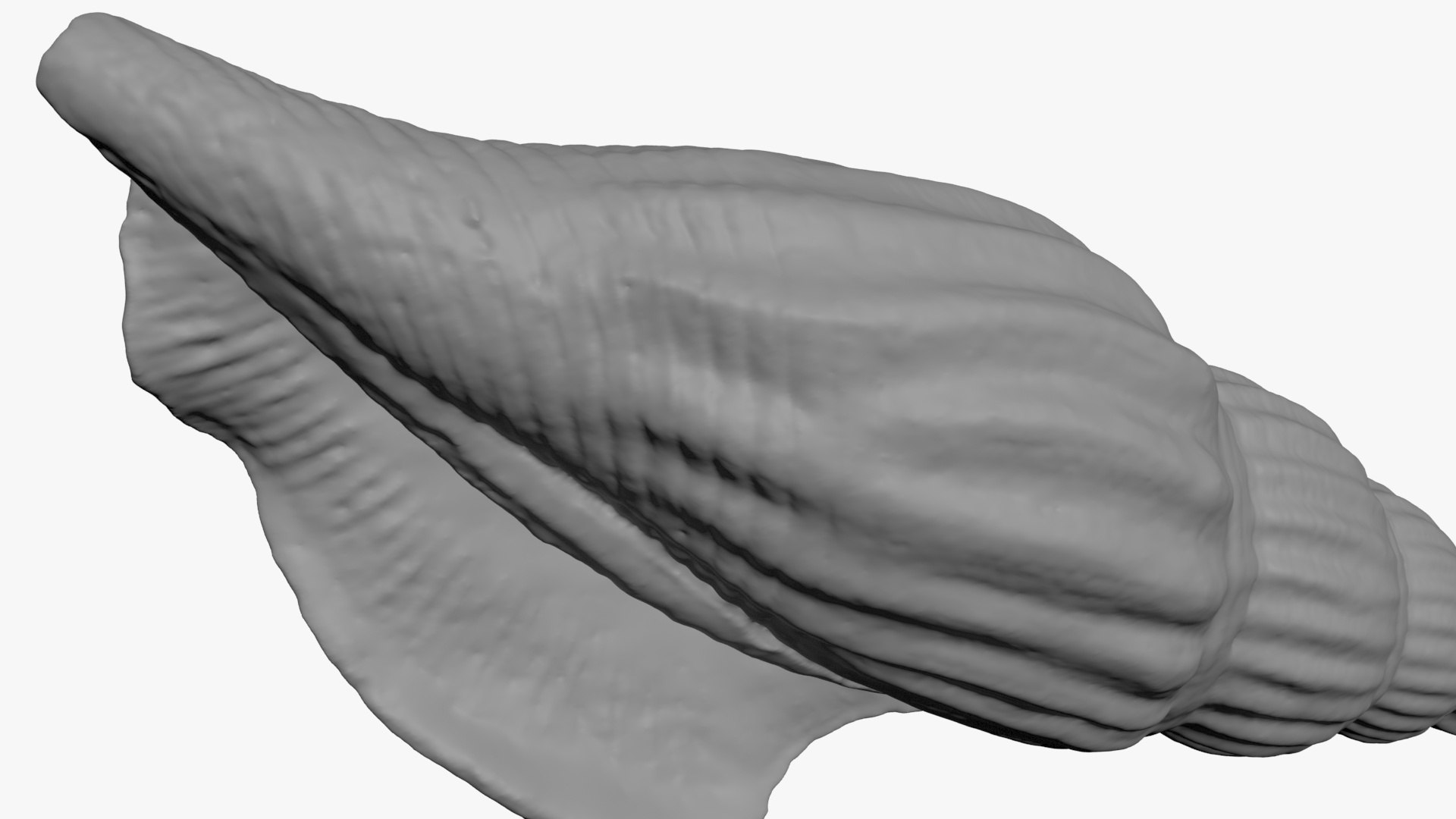 3D Doxander Vittatus Raw Scan - TurboSquid 2369501