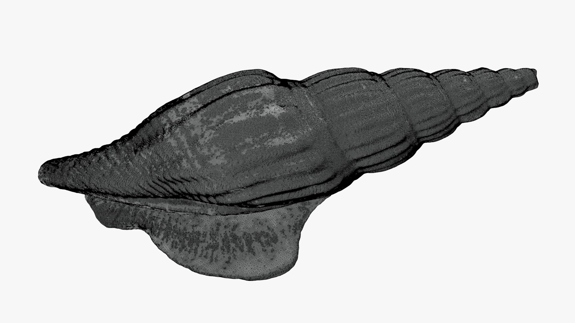 3D Doxander Vittatus Raw Scan - TurboSquid 2369501