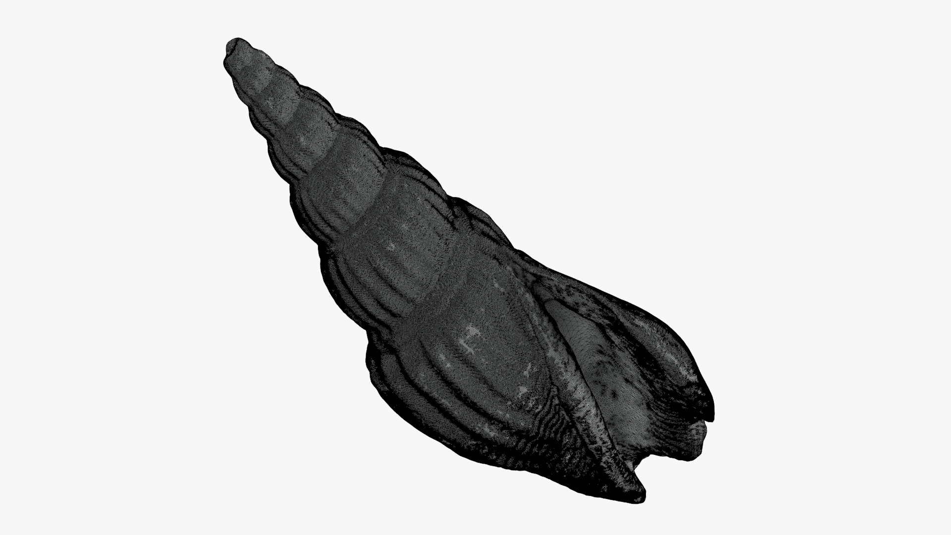 3D Doxander Vittatus Raw Scan - TurboSquid 2369501