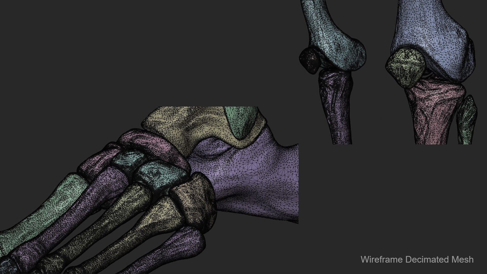 Lower limb science anatomy 3D model - TurboSquid 1451204