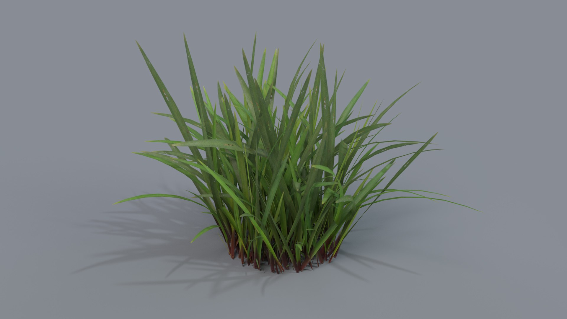 3D Grass Cluster Collection 003- 2 Cluster Types Model - TurboSquid 1923645