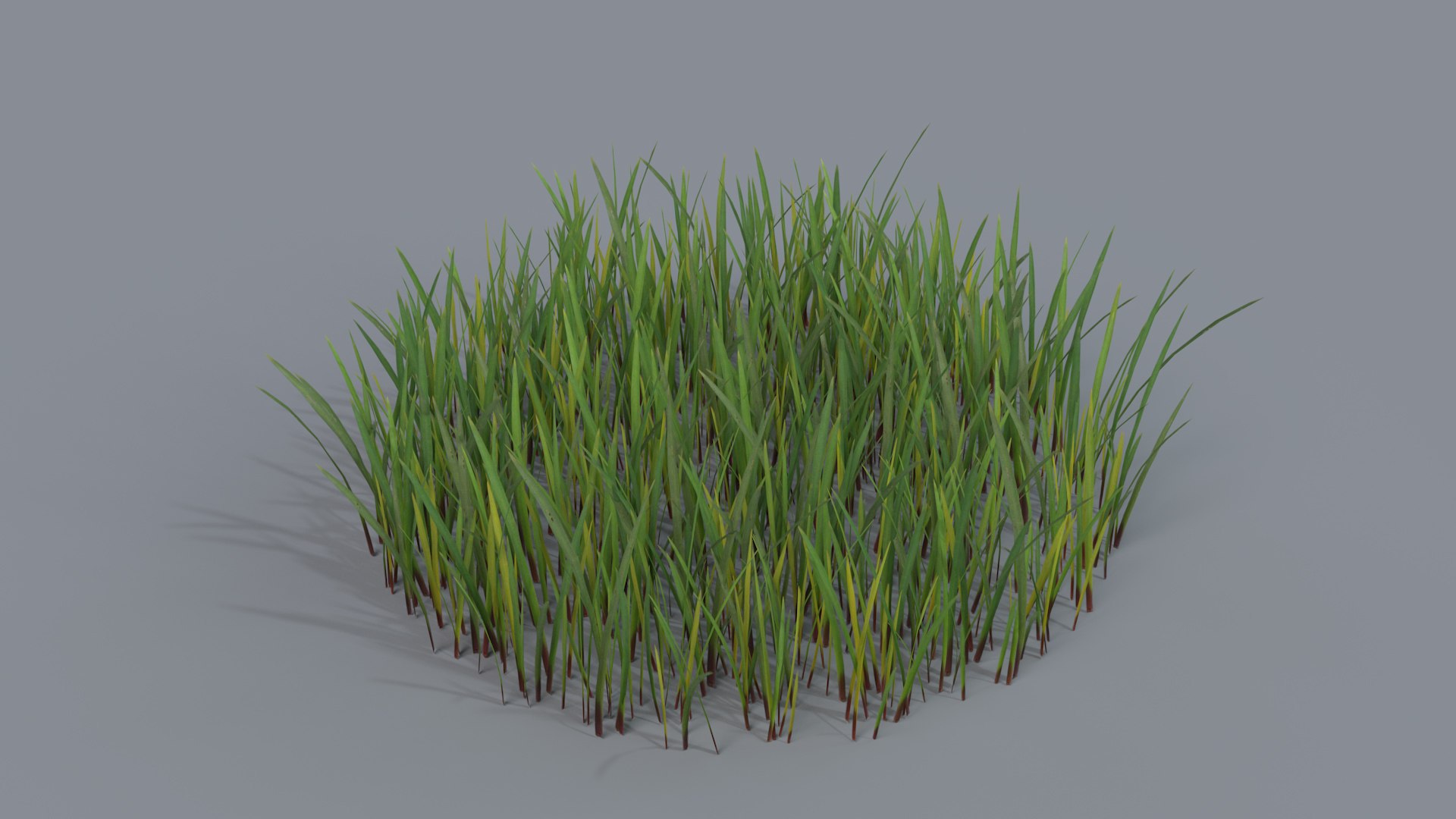 3D Grass Cluster Collection 003- 2 Cluster Types Model - TurboSquid 1923645