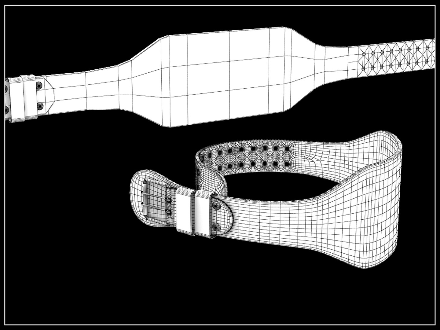3d Model Of Lifting Belt